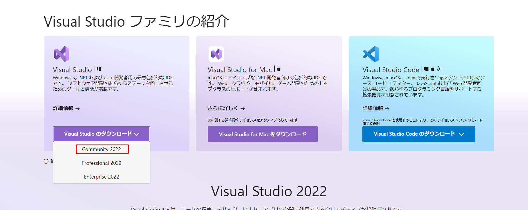プログラム基礎 ～VisualStudioの導入方法～ | りゅうぐうブログ
